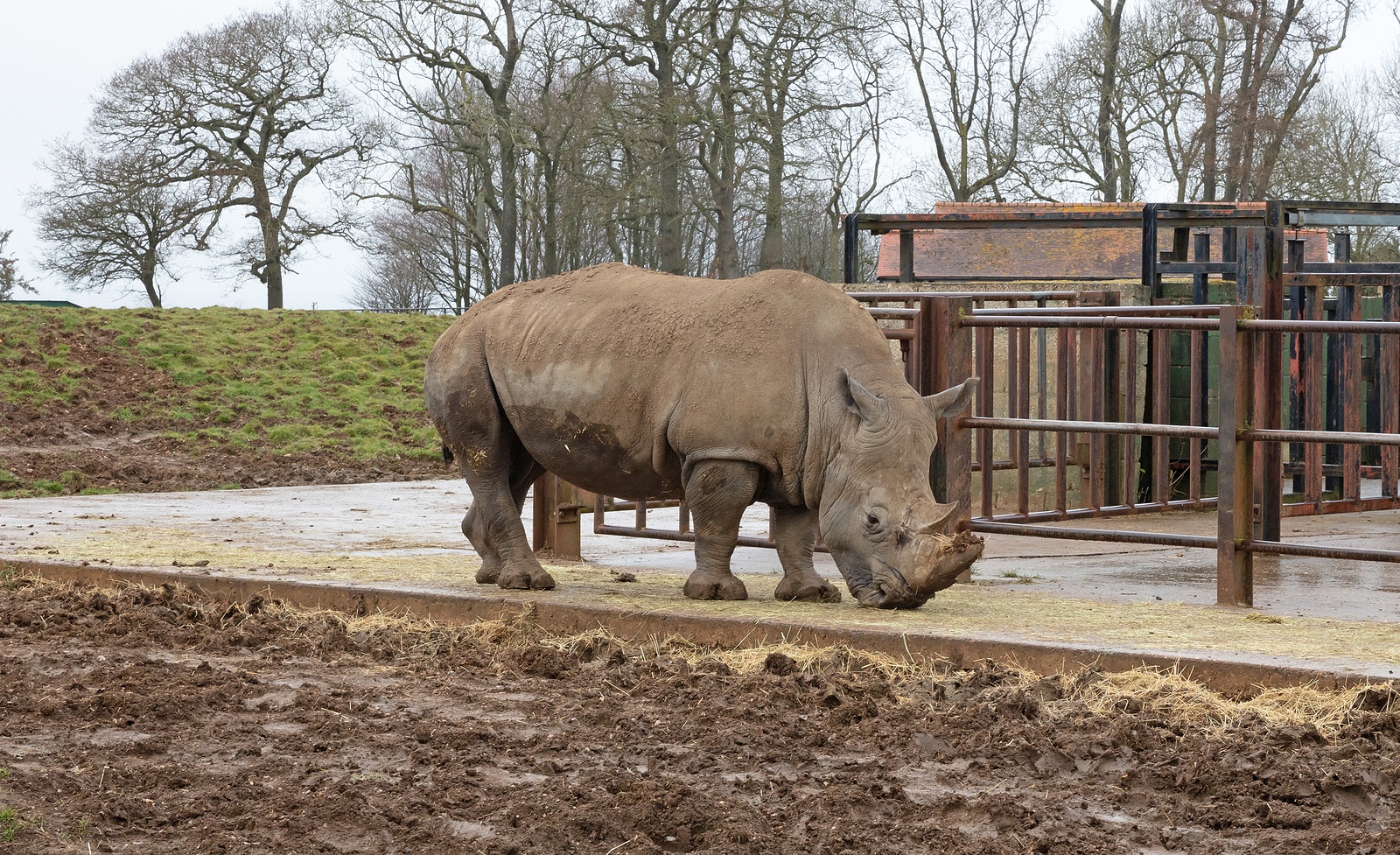 Top Three Alternative Wedding Venues In The West Midlands